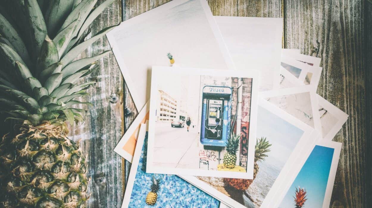 New trends in print design - Quebecor World